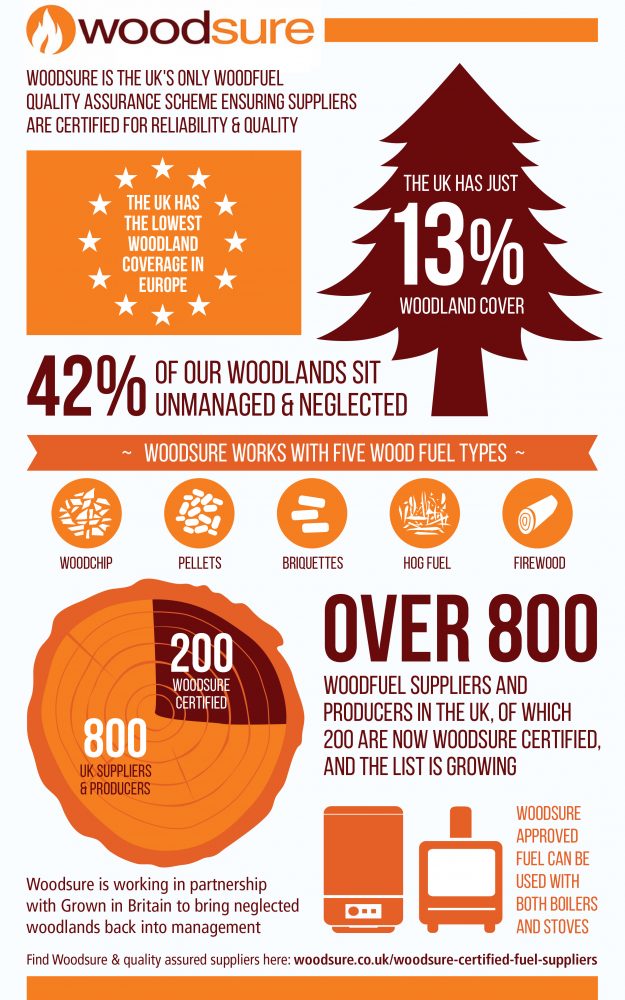 Woodsure Infographic - Lime Green Marketing