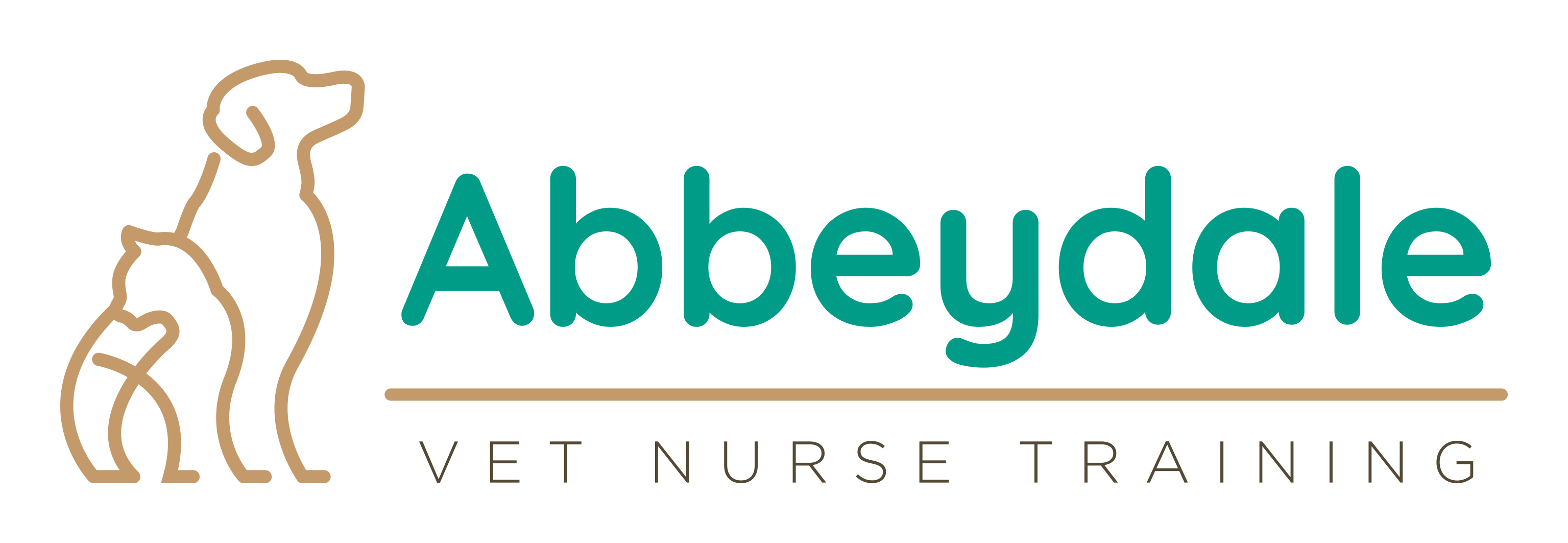 Abbeydale Vet Nurse Training - Lime Green Marketing